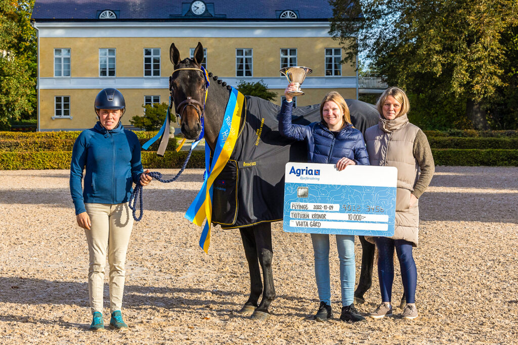 Breeders Trophy-vinnare 2023 – SWB | Swedish Warmblood Association