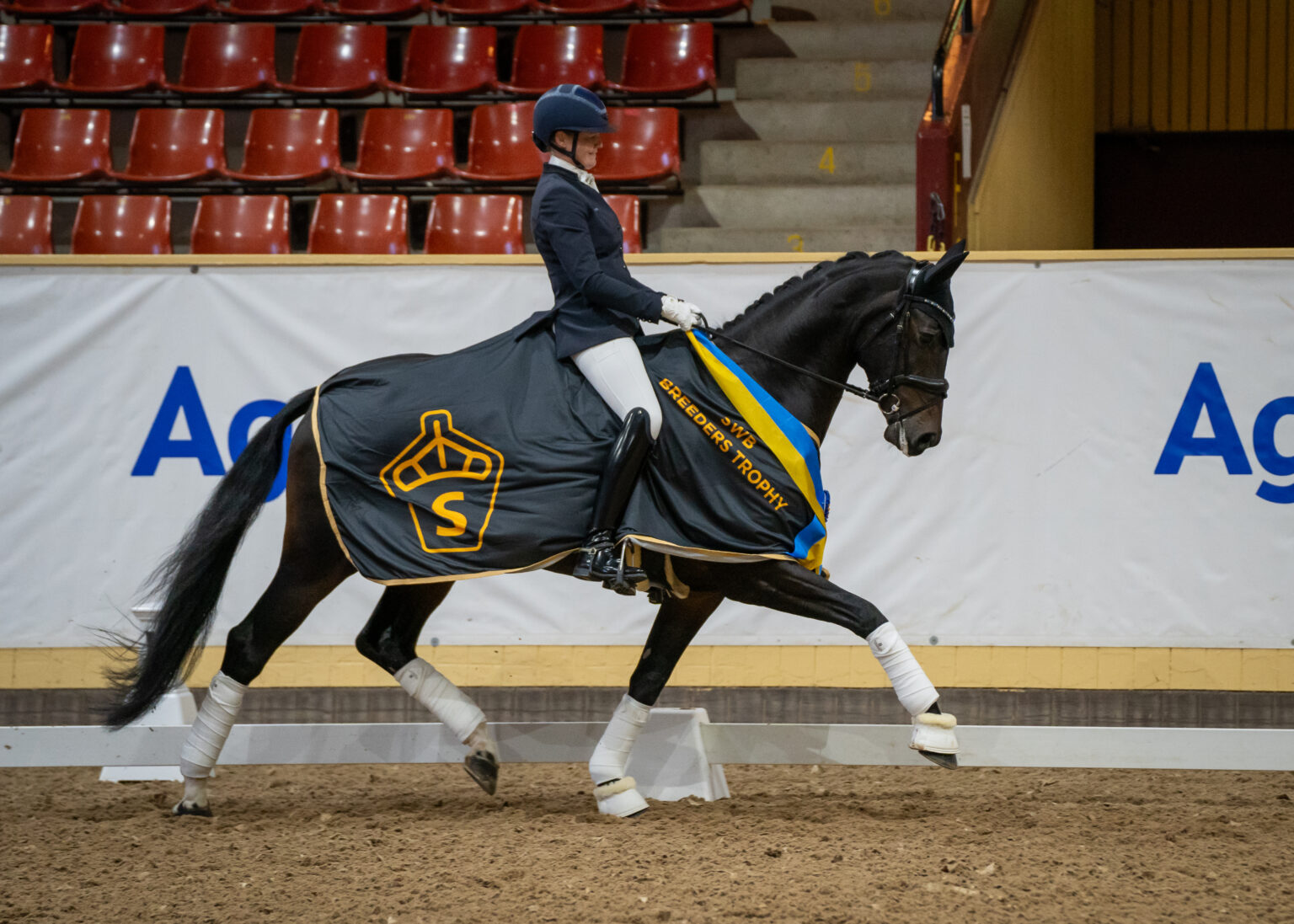 Vive la Reinne II VH (31) (SWB) segrar i Breeders Trophy för 5-åriga ...